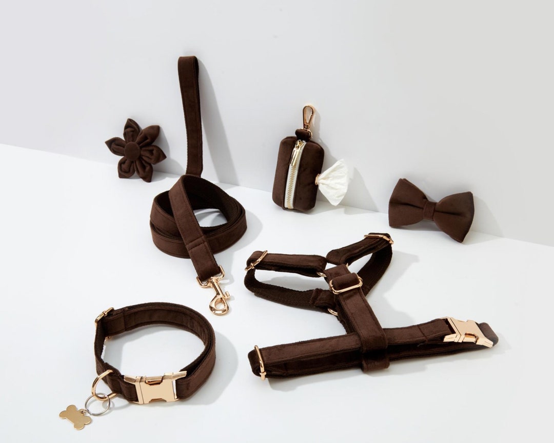 Coffee Velvet Personalized Harness With Gold Hardware,fancy Velvet ...