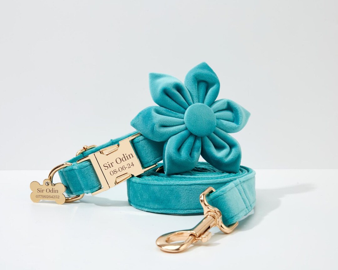 Personalized Turquoise Velvet Dog Collar and Leash With Name Engraved ...