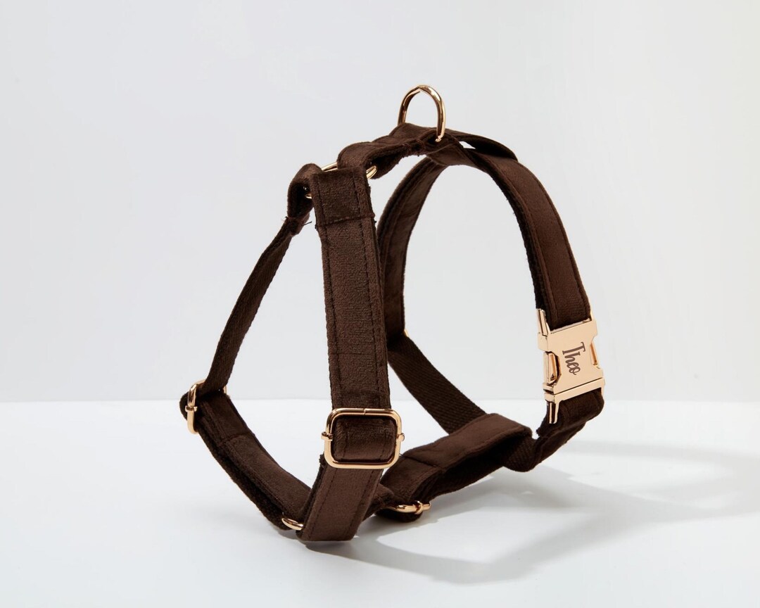 Chocolate Velvet Personalized Harness With Gold Hardware,fancy Velvet ...