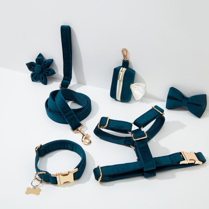 Dog Collar Hardware - Etsy