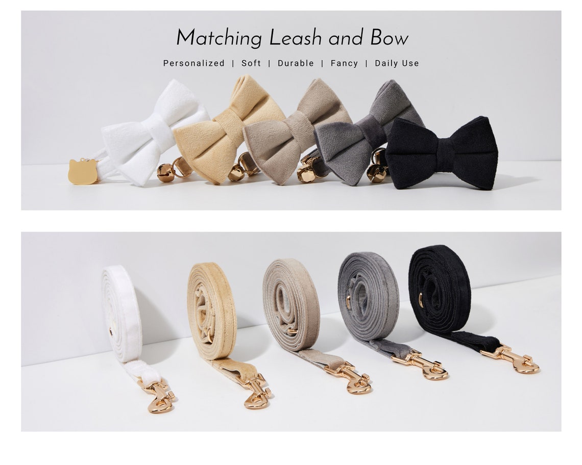 Breakaway Cat Collar Leash Bowtie Set, Engraved Kitties Collar Leash ...
