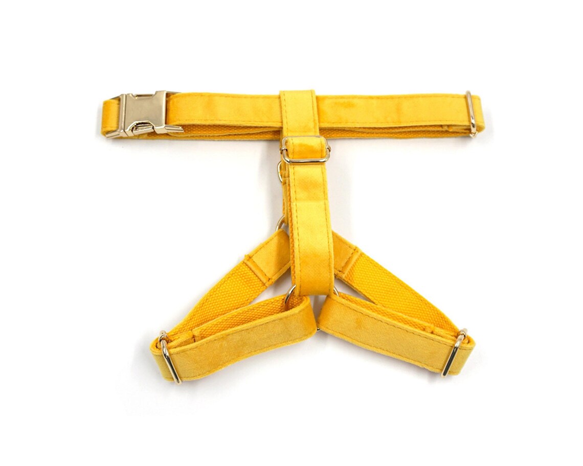 Yellow Velvet Personalised Harness With Gold Hardwarestep in | Etsy