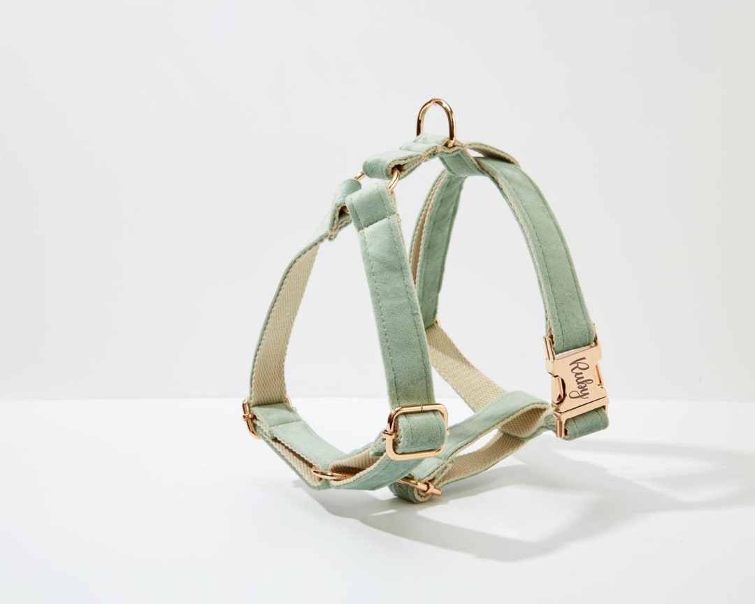 Sage Green Velvet Personalized Harness With Gold Hardware,fancy Velvet ...