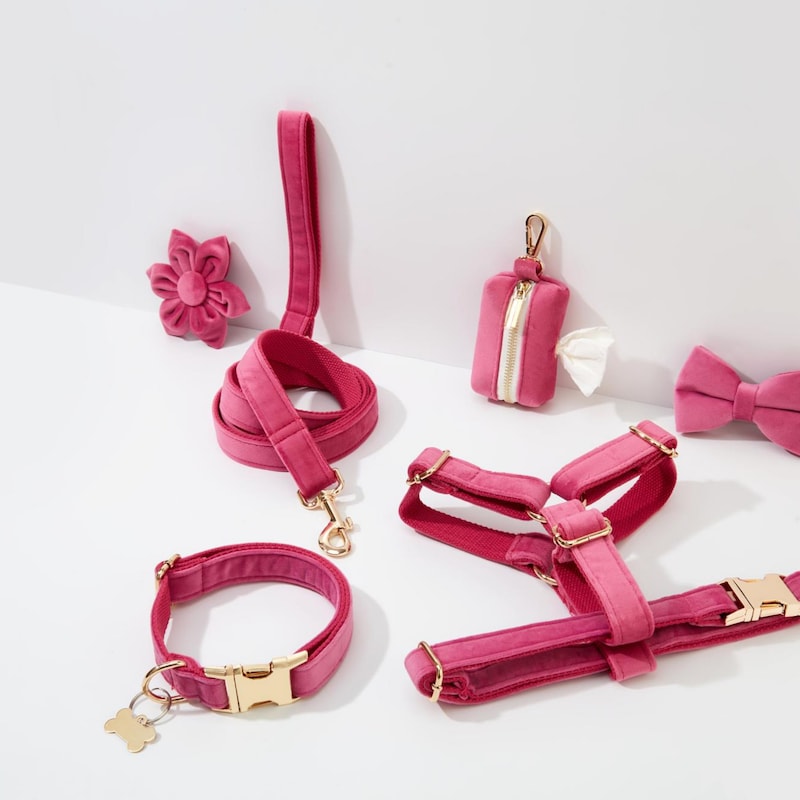 Dog Harness With Rose - Etsy