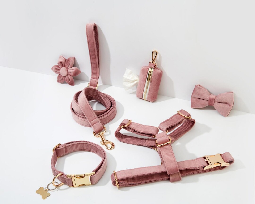 Dusty Pink Velvet Personalized Harness With Gold Hardware,fancy Velvet ...