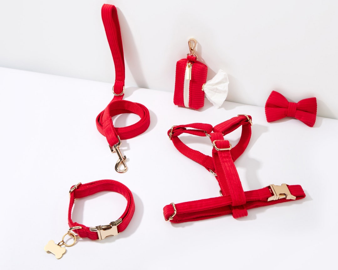 Fancy Red Corduroy Puppy Harness Leash Set for New Years Gift ...