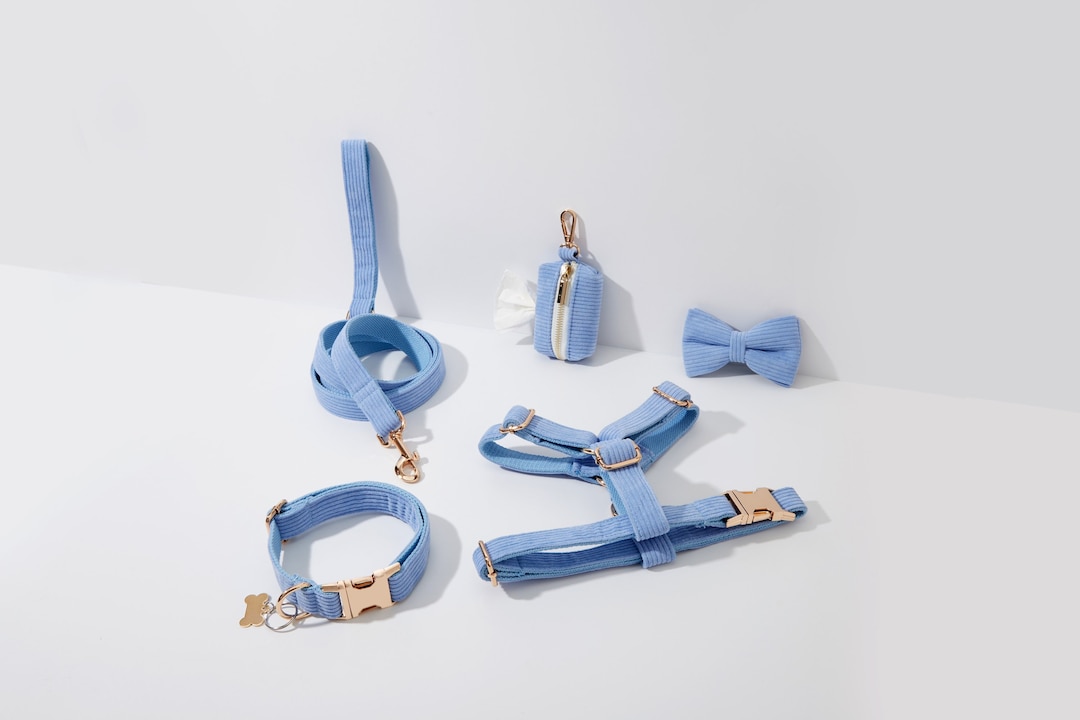Light Blue Corduroy Velvet Dog Harness Leash. Step in Harness for Puppy ...