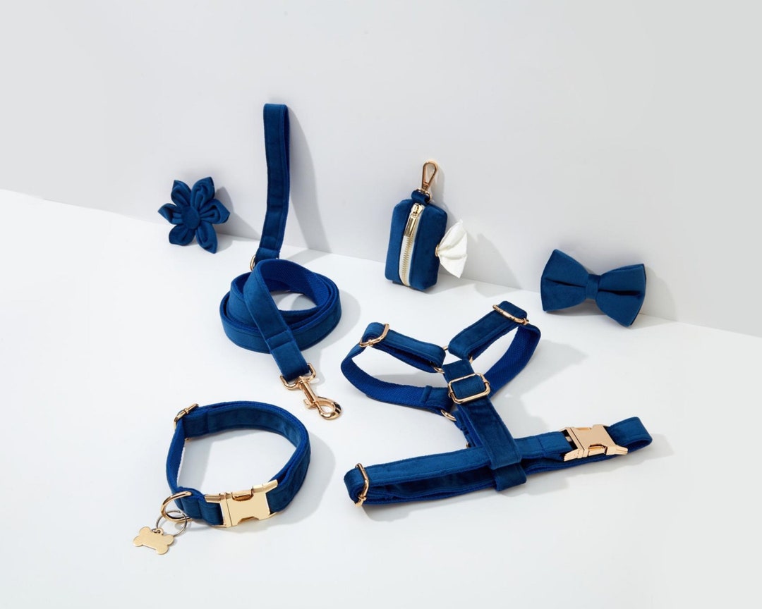 Navy Blue Velvet Personalised Harness With Gold Hardware,fancy Velvet ...