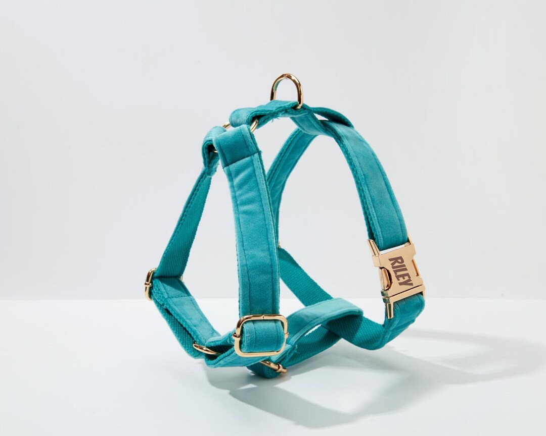 Turquoise Velvet Personalized Harness With Gold Hardware,fancy Velvet ...
