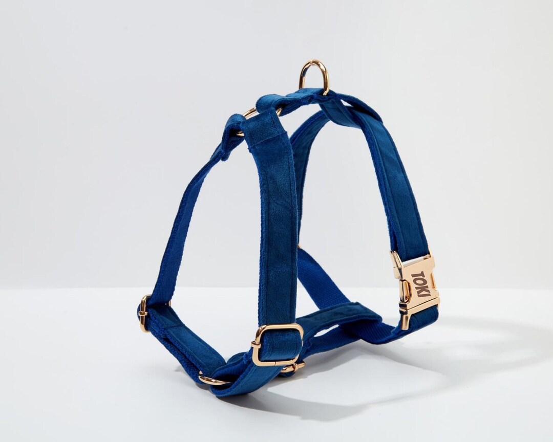 Navy Blue Velvet Personalised Harness With Gold Hardware,fancy Velvet ...