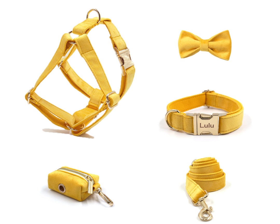 Yellow Velvet Personalised Harness With Gold Hardwarestep in - Etsy