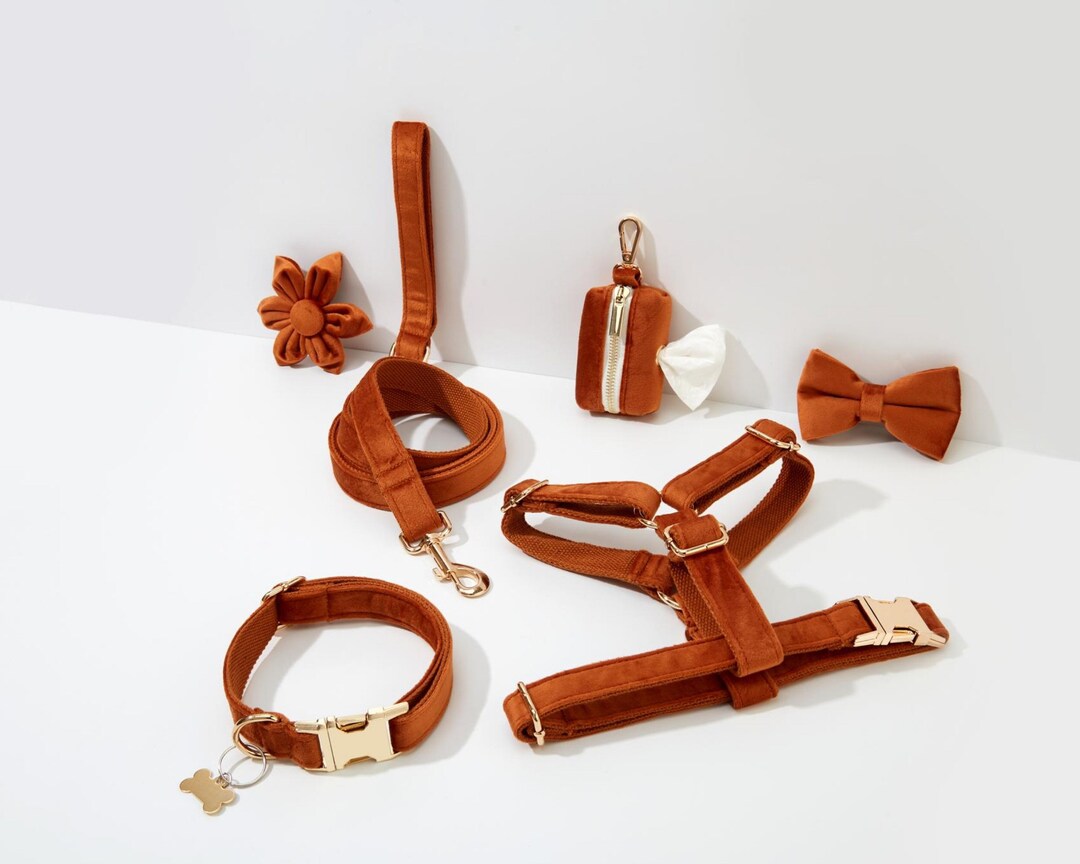 Cinnamon Velvet Personalized Harness With Gold Hardware,fancy Velvet ...