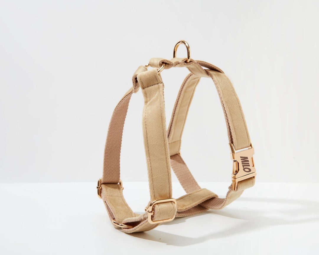 Beige Velvet Personalized Harness With Gold Hardware,fancy Velvet ...