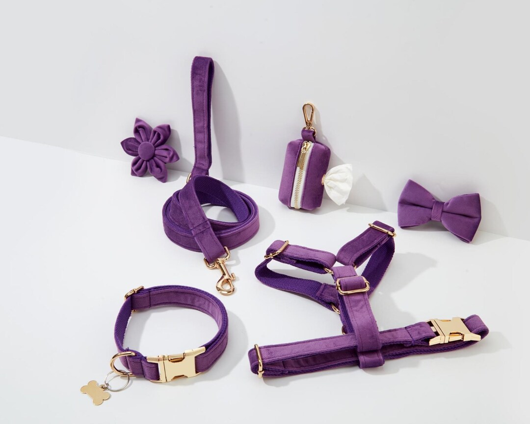Purple Velvet Personalized Harness With Gold Hardware,fancy Velvet ...
