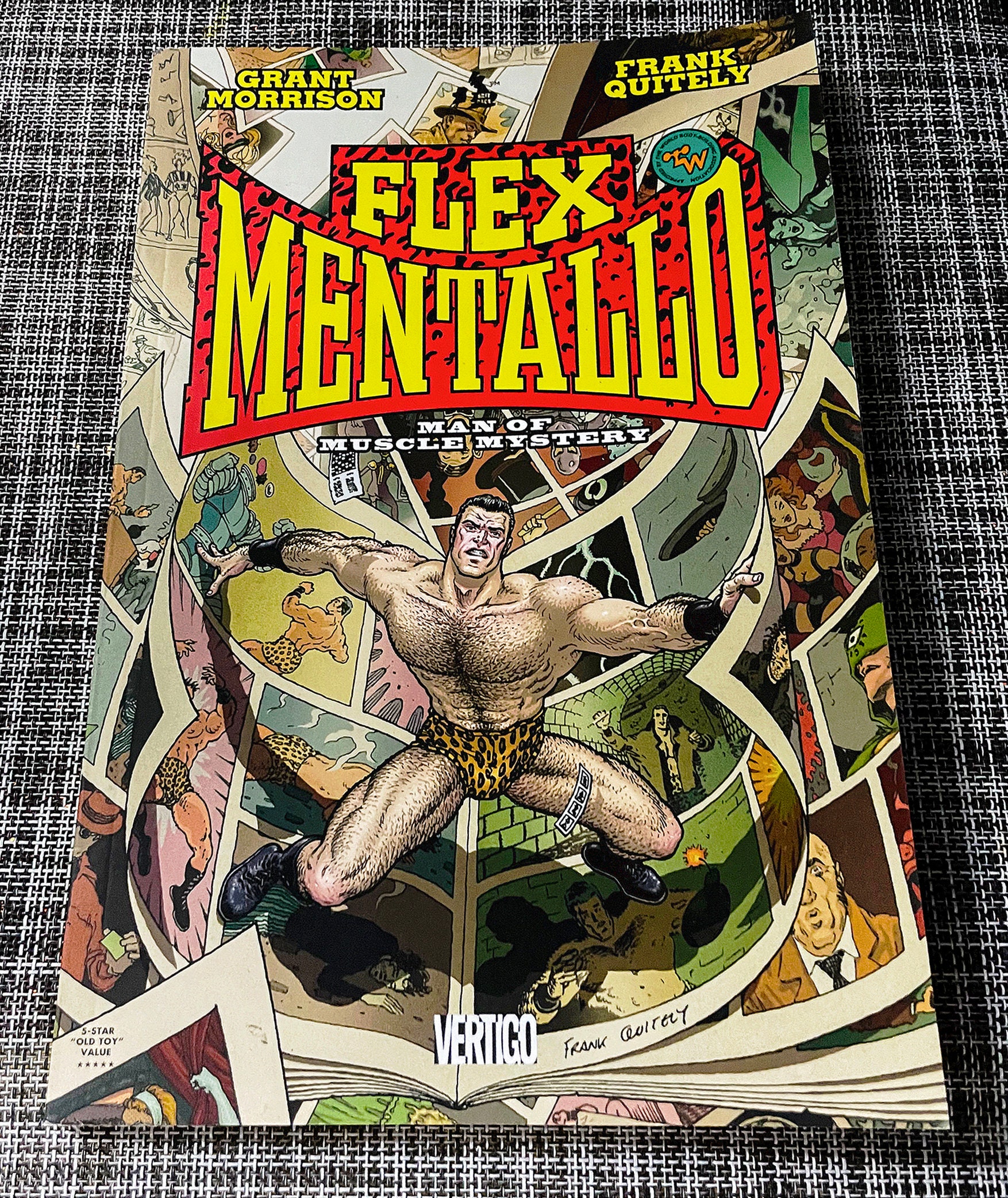 Flex Mentallo: Man Of Muscle Mystery by Grant Morrison & Frank | Etsy