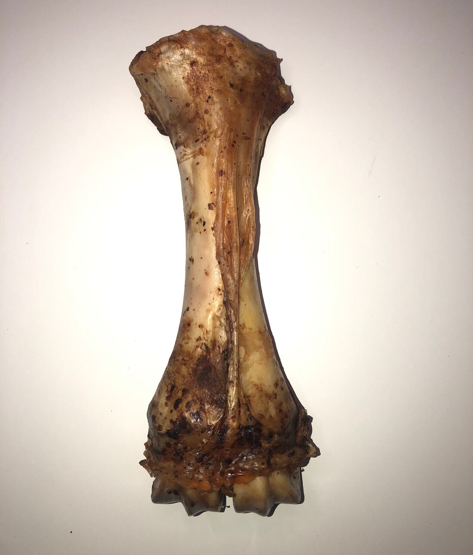 Dog Bone (smoked Beef Bone) - Etsy