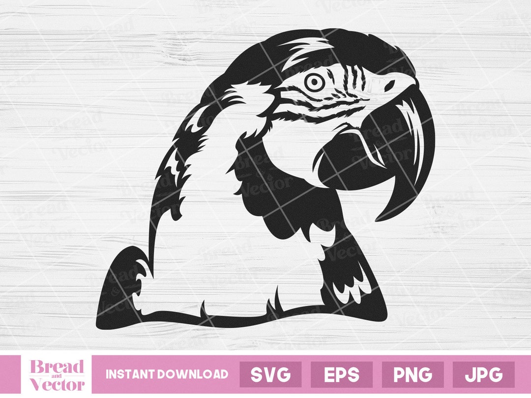 Parrot Bird Head Clipart Design Svg Cutfile for Cricut Tshirt - Etsy