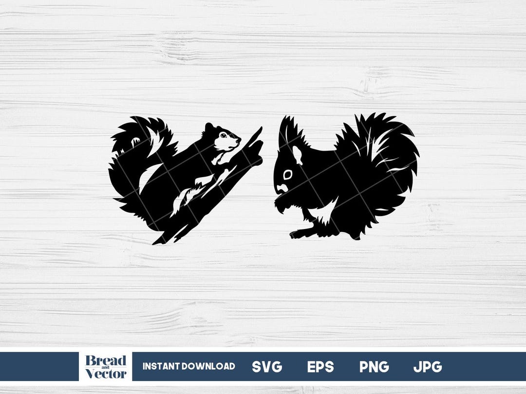 Squirrel Clipart Svg, Chipmunk Png, Flying Squirrel Svg Design Cut File ...
