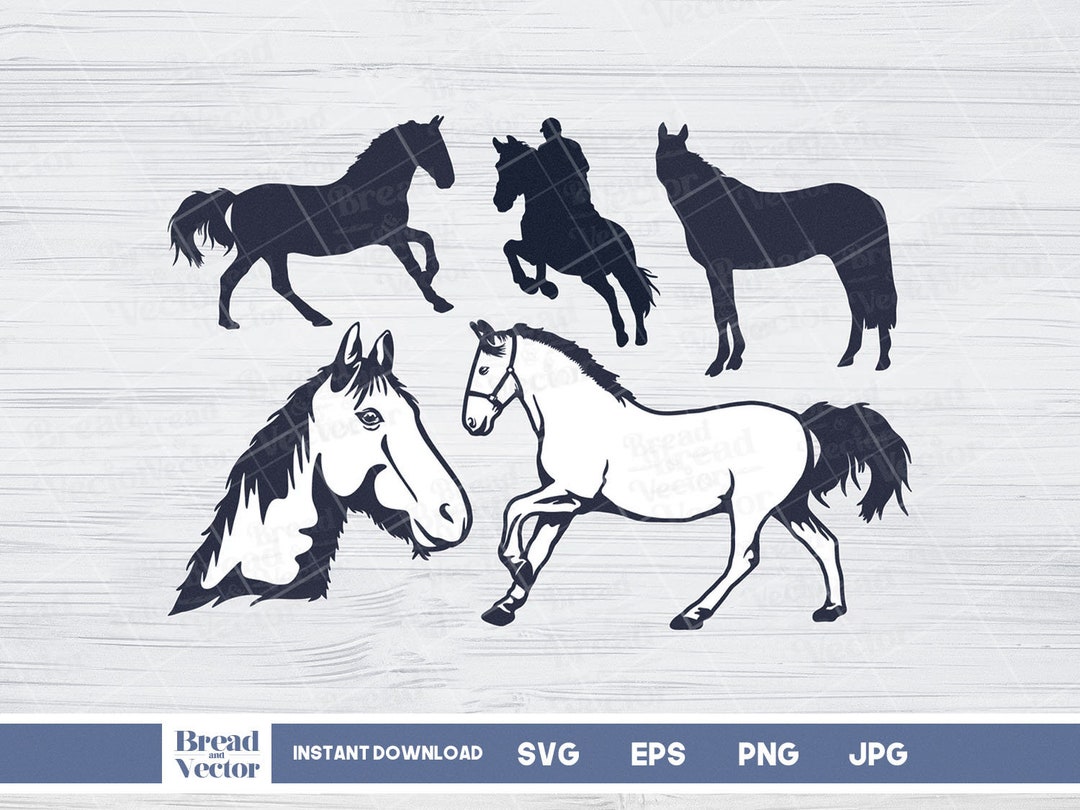 Horse Cut Files Design Bundle Svg Horse Vector Pack Svg Horse ...