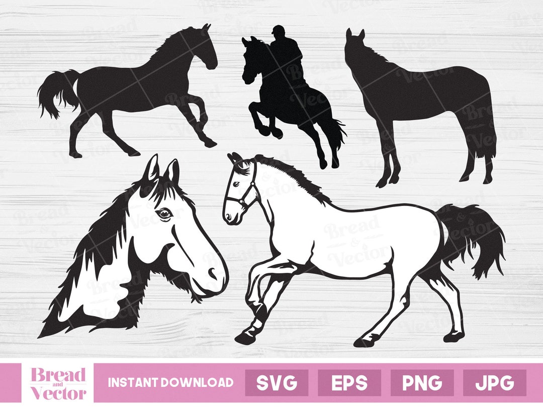 Horse Cut Files Design Bundle Svg Horse Vector Pack Svg - Etsy