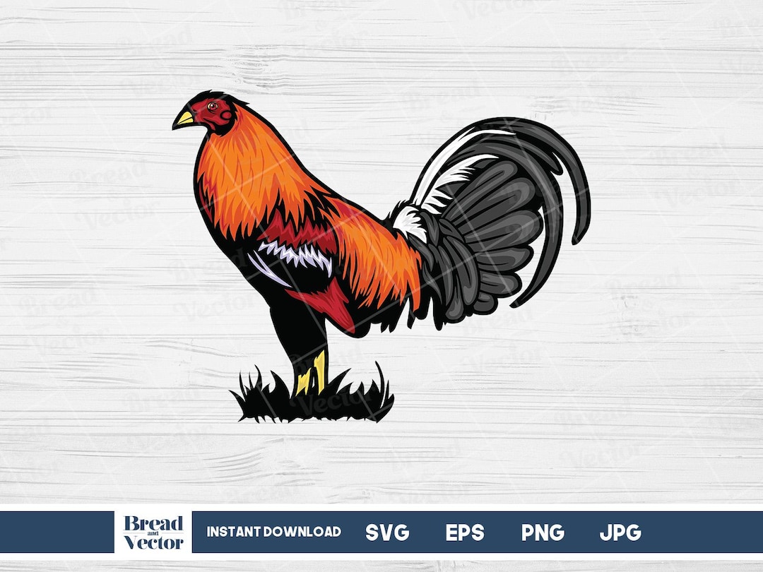 Gallo Pollo Svg, Gallina Gallina Svg, Gallo De Pelea Svg Diseño Archivo ...