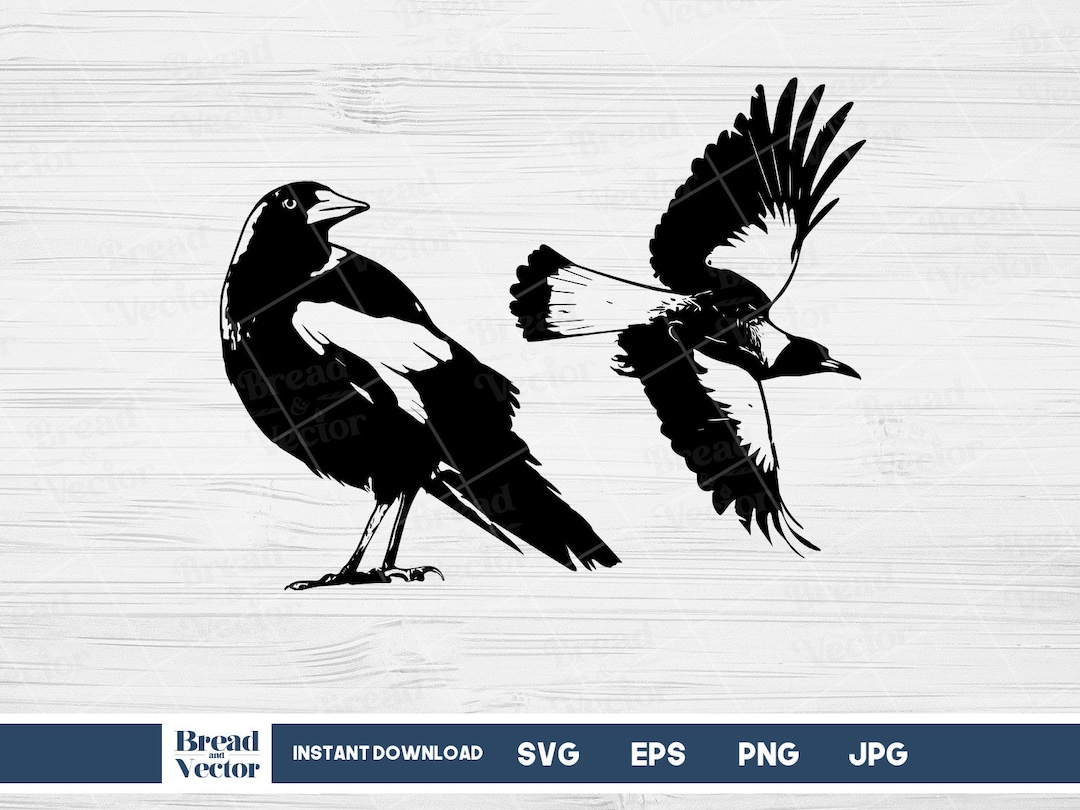 Magpie Bird Svg - Png - Eps - Jpeg | Magpie Bird Clipart Design Cutfile ...