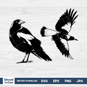 Magpie Bird Svg - Png - Eps - Jpeg | Magpie Bird Clipart Design Cutfile ...