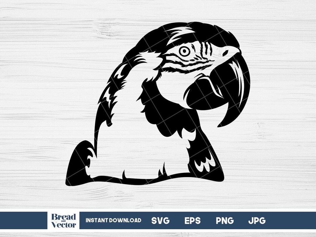 Parrot Svg, Parrot Bird Head Clipart Design Svg Cutfile for Cricut ...