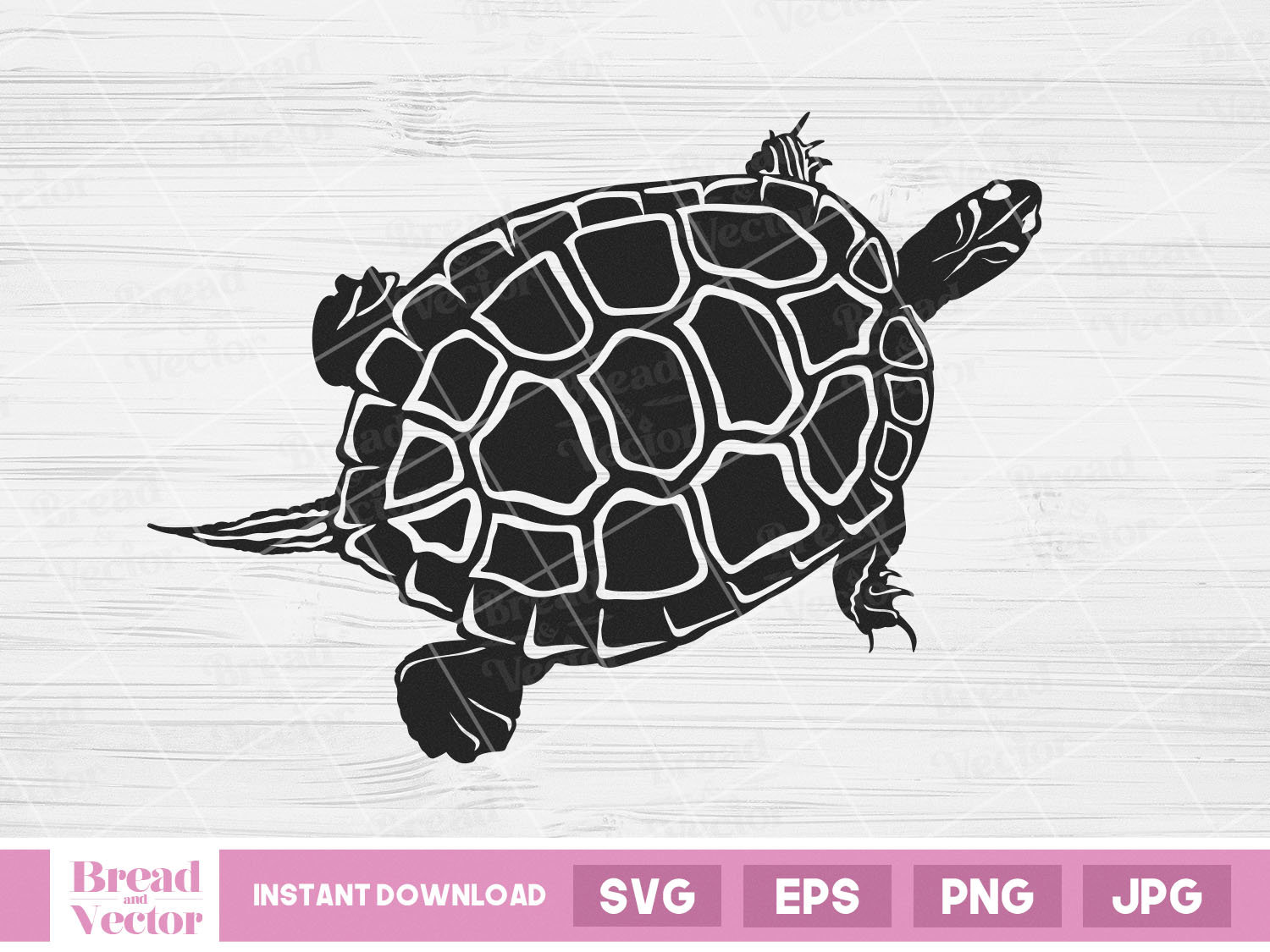 Fresh Water Turtle Svg Design Cut File for Cricut Tshirt - Etsy