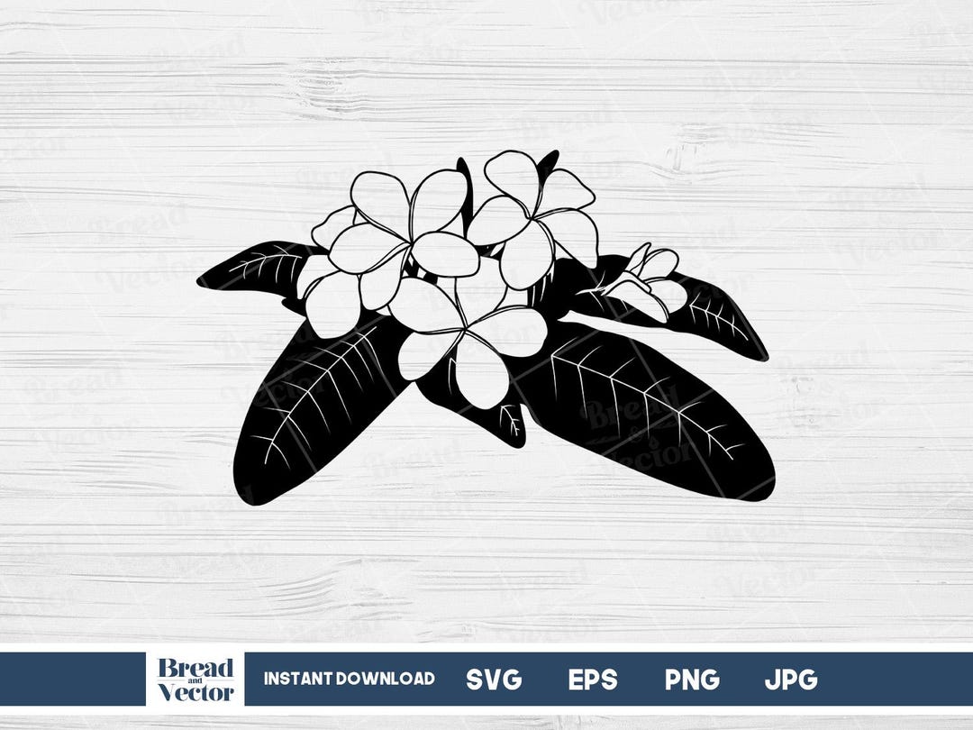 Plumeria Flower Svg, Plumeria Flower, Tropical Flower Svg, Tropical ...