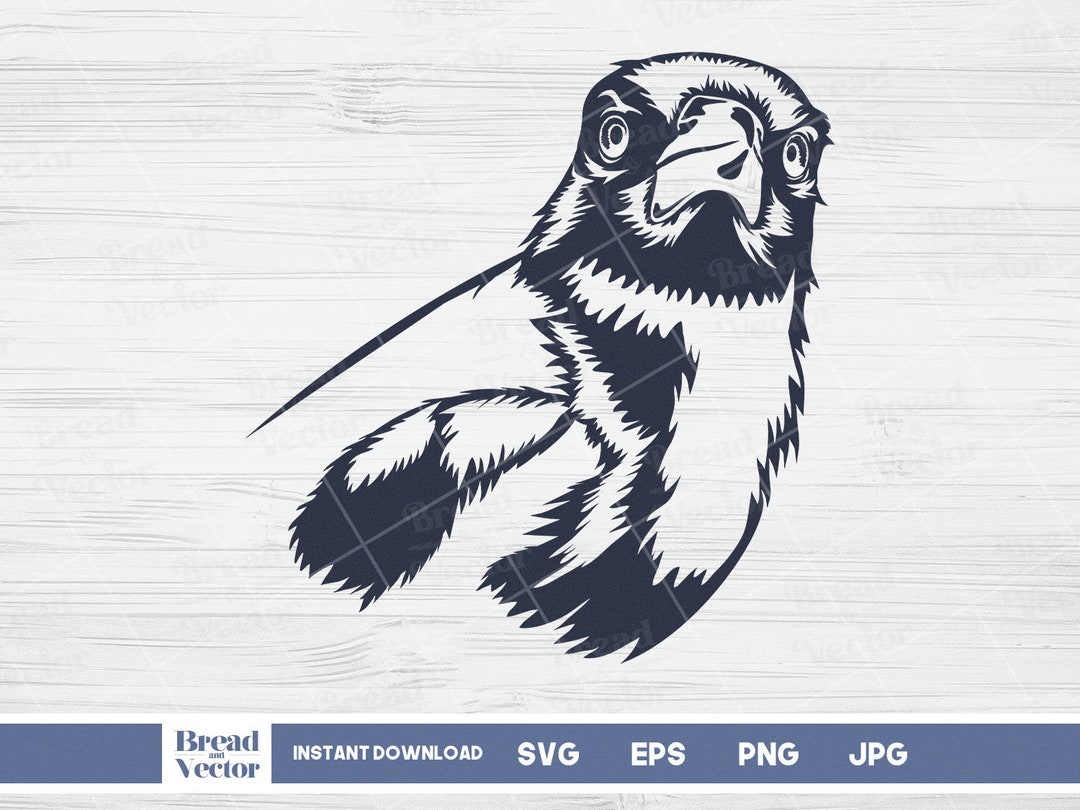 Mad Magpie Bird Clipart Design Svg Cut File for Cricut, Tshirt Design ...