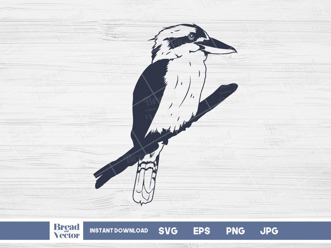 Kookaburra Bird Svg, Png, Eps, Jpeg Kookaburra Clipart Design ...