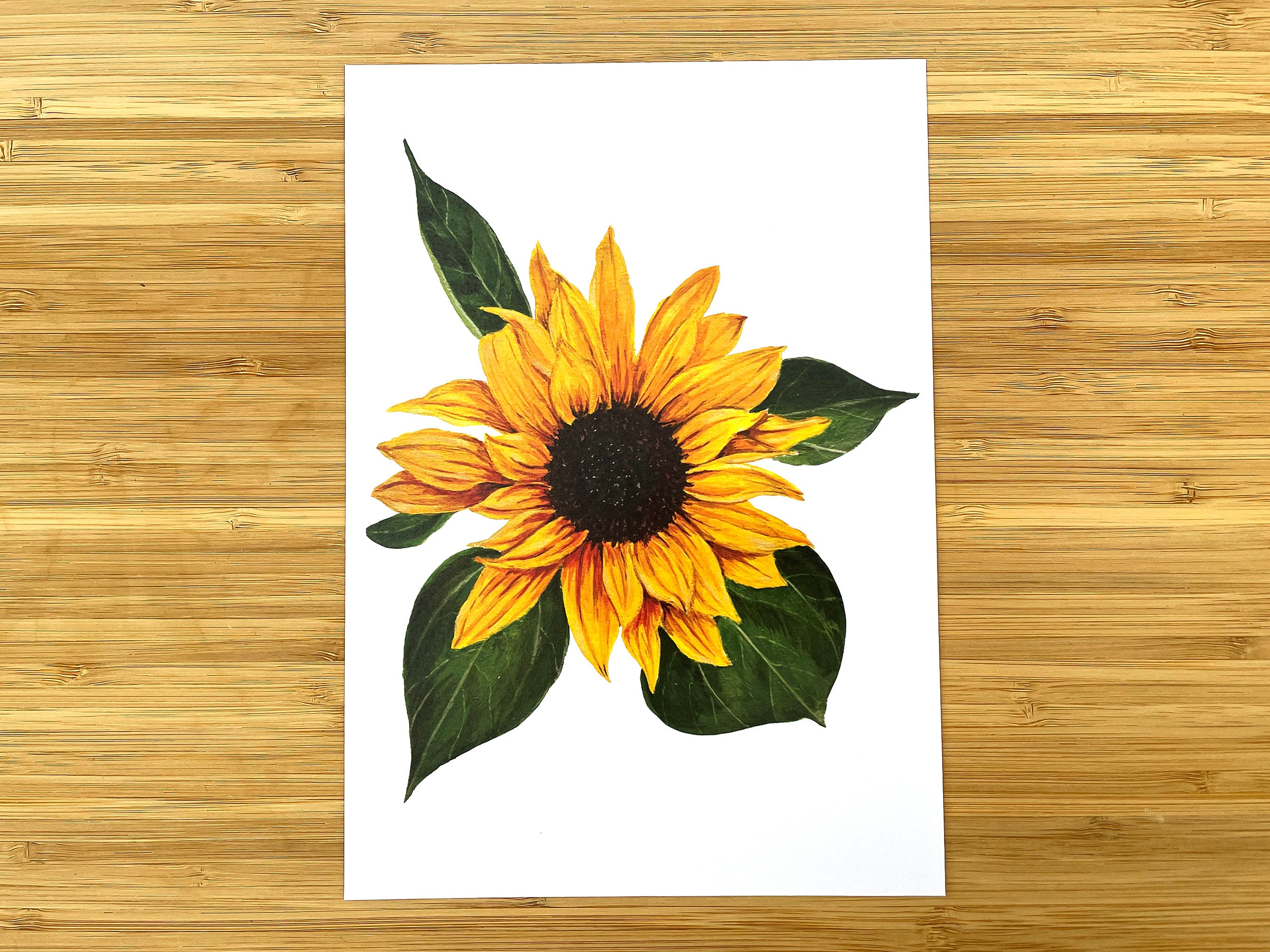 Sunflower Print Helianthus Annuus Botanical Wall Art Floral - Etsy