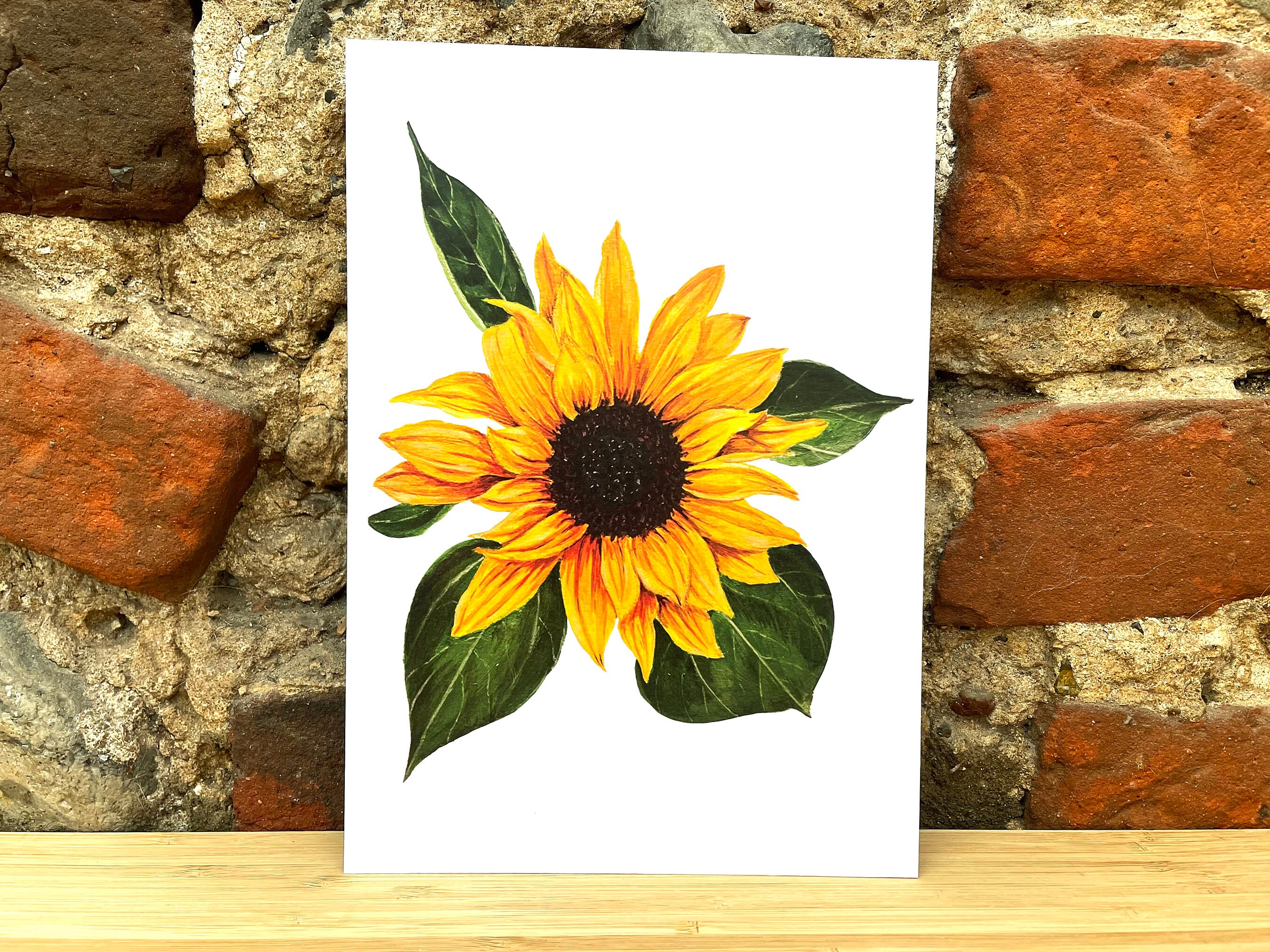 Sunflower Print Helianthus Annuus Botanical Wall Art Floral - Etsy