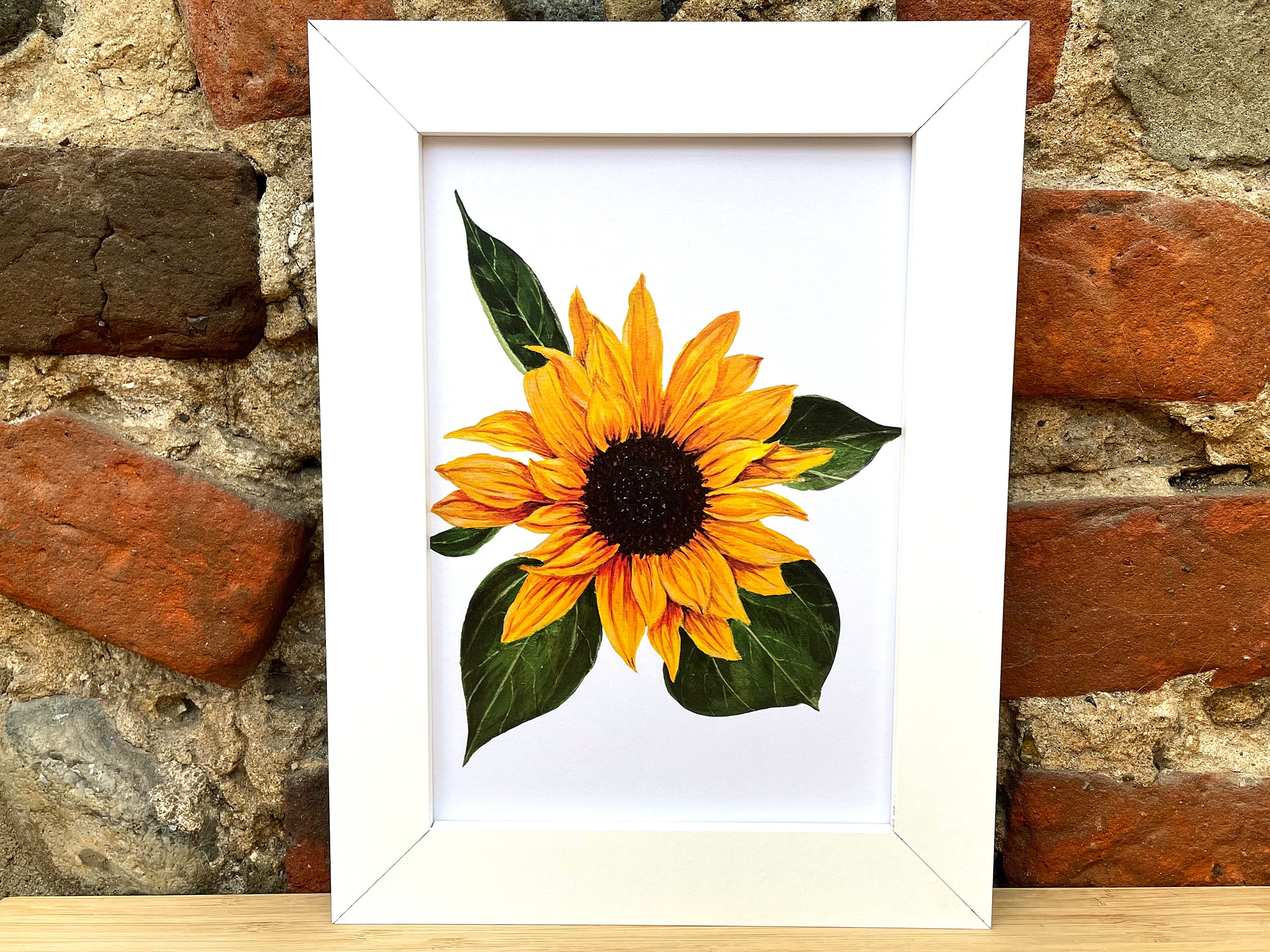 Sunflower Print Helianthus Annuus Botanical Wall Art Floral - Etsy