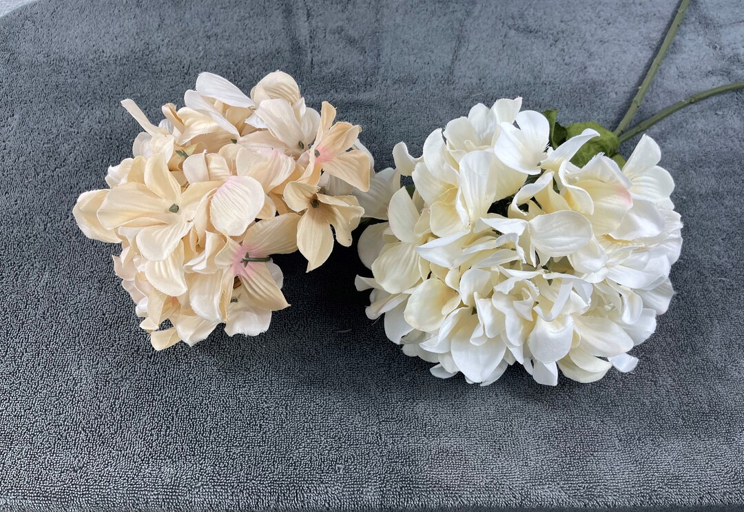 Hydrangea, Cream Hydrangea, Tan Hydrangea, 8 Hydrangea, Single Stem ...