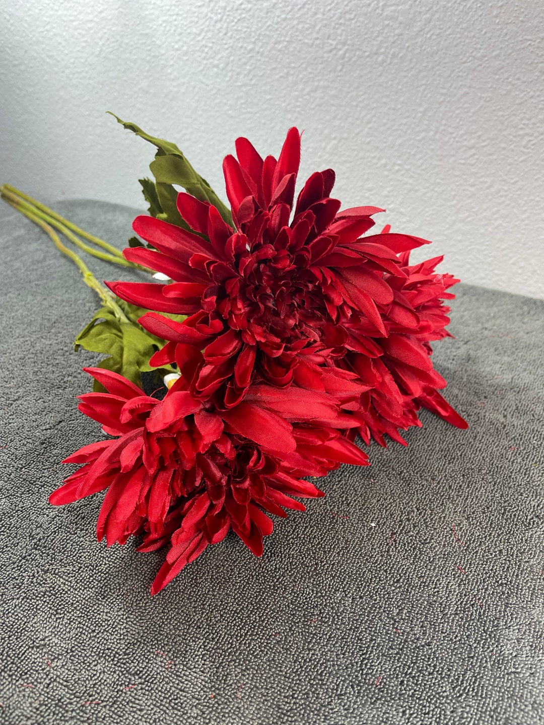Crimson Red Mum, Red Chrysanthemum, Single Flower Mum, Single Stem ...