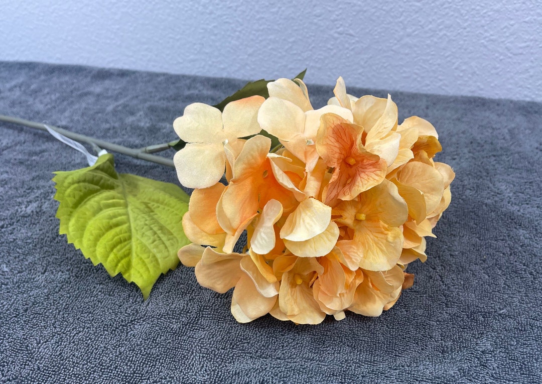 Hydrangea, Orange Hydrangea, Sherbert Orange Hydrangea, 8 Hydrangea ...