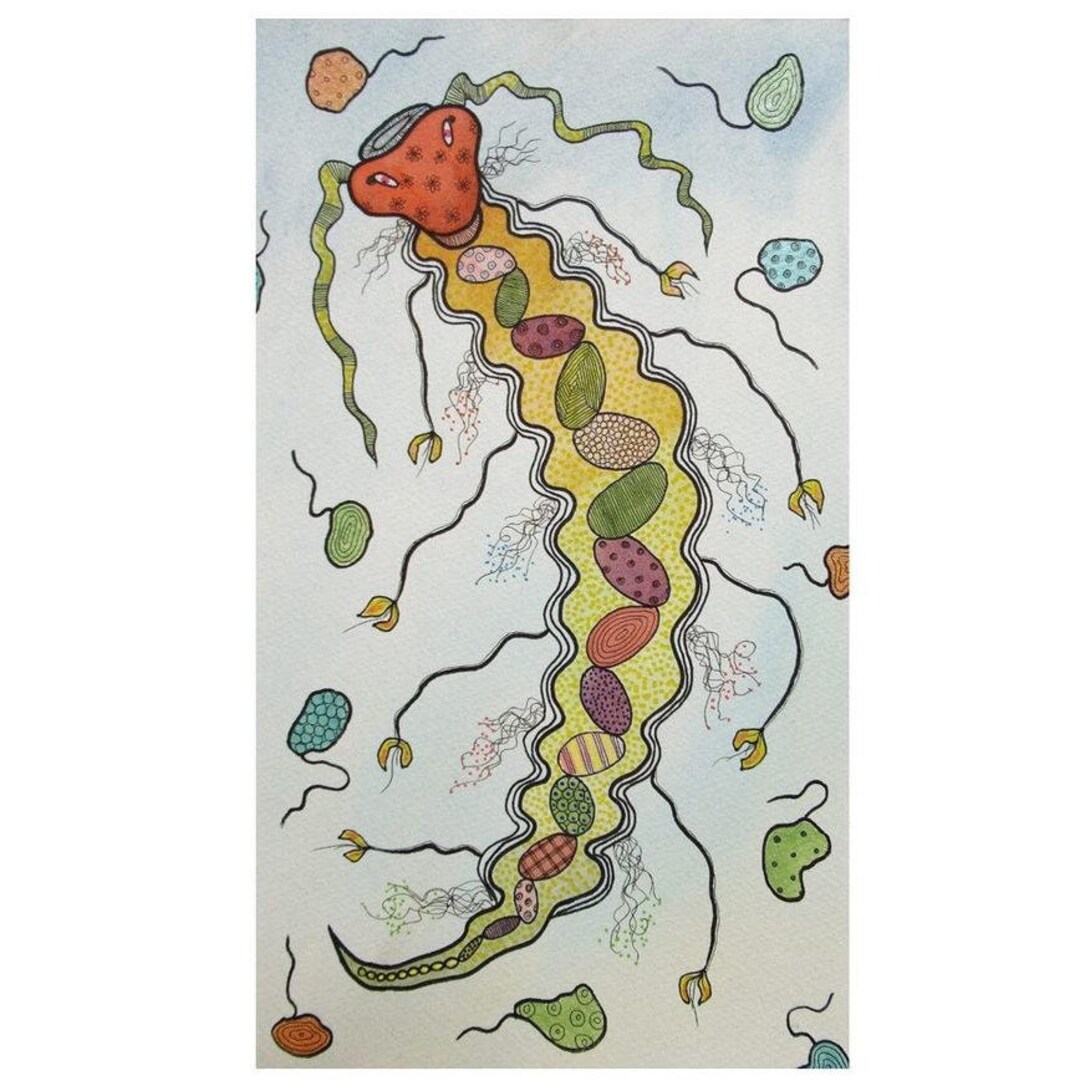 Weird Insect Painting Fantasy Worm Bug Art Surreal Centipede - Etsy