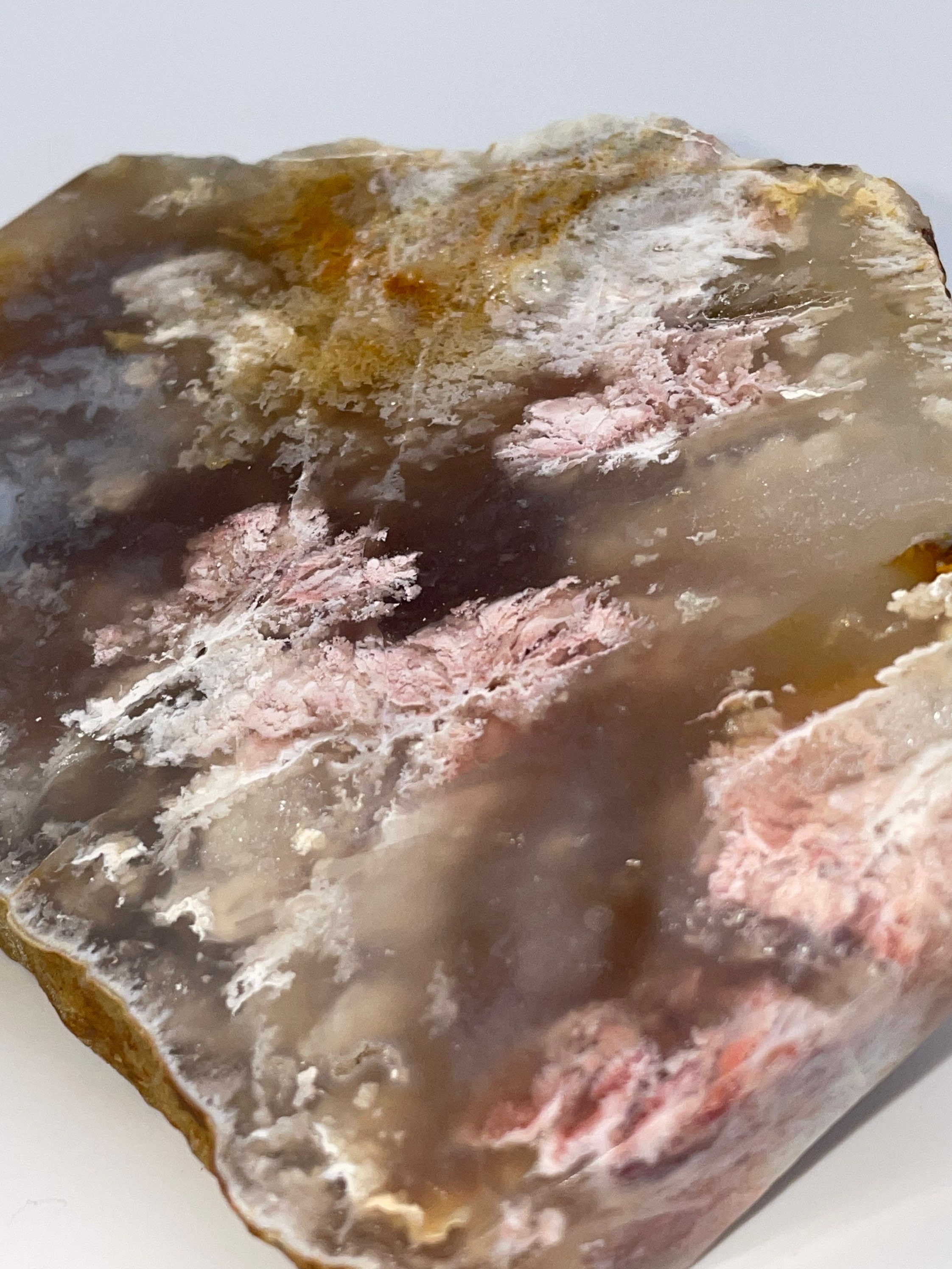 Rare Pink Regency Rose Plume Agate, Owyhee Mountain, OR - Etsy