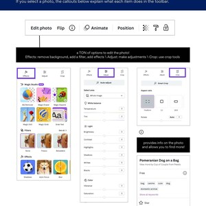 Canva Tutorial, Canva Guide PDF, Canva Basics, Canva Guide for ...