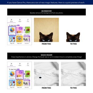 Canva Tutorial, Canva Guide PDF, Canva Basics, Canva Guide for ...