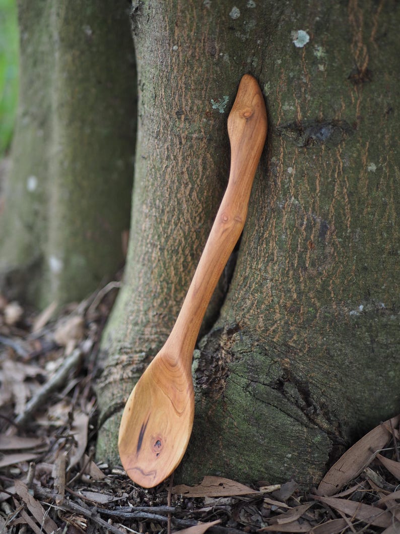 Hand Carved Wooden Spoon, Mulberry Timber - Etsy