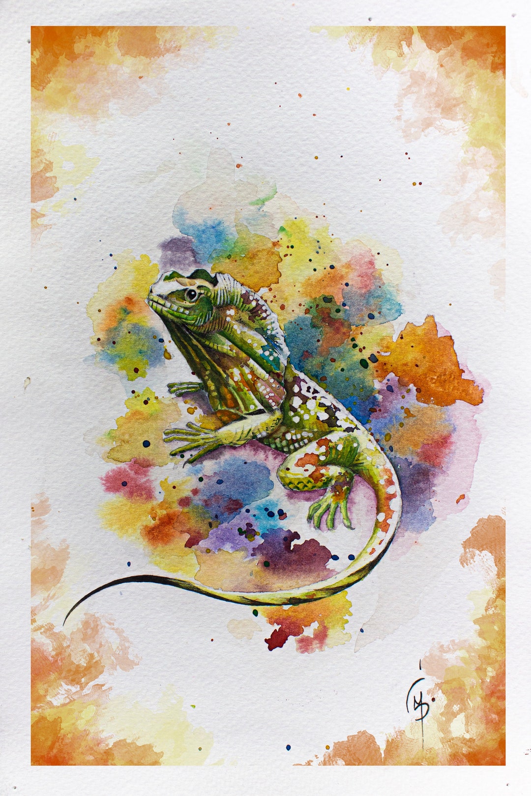 A4 the Gecko / Digital Print From an Original Handmade Watercolor I ...