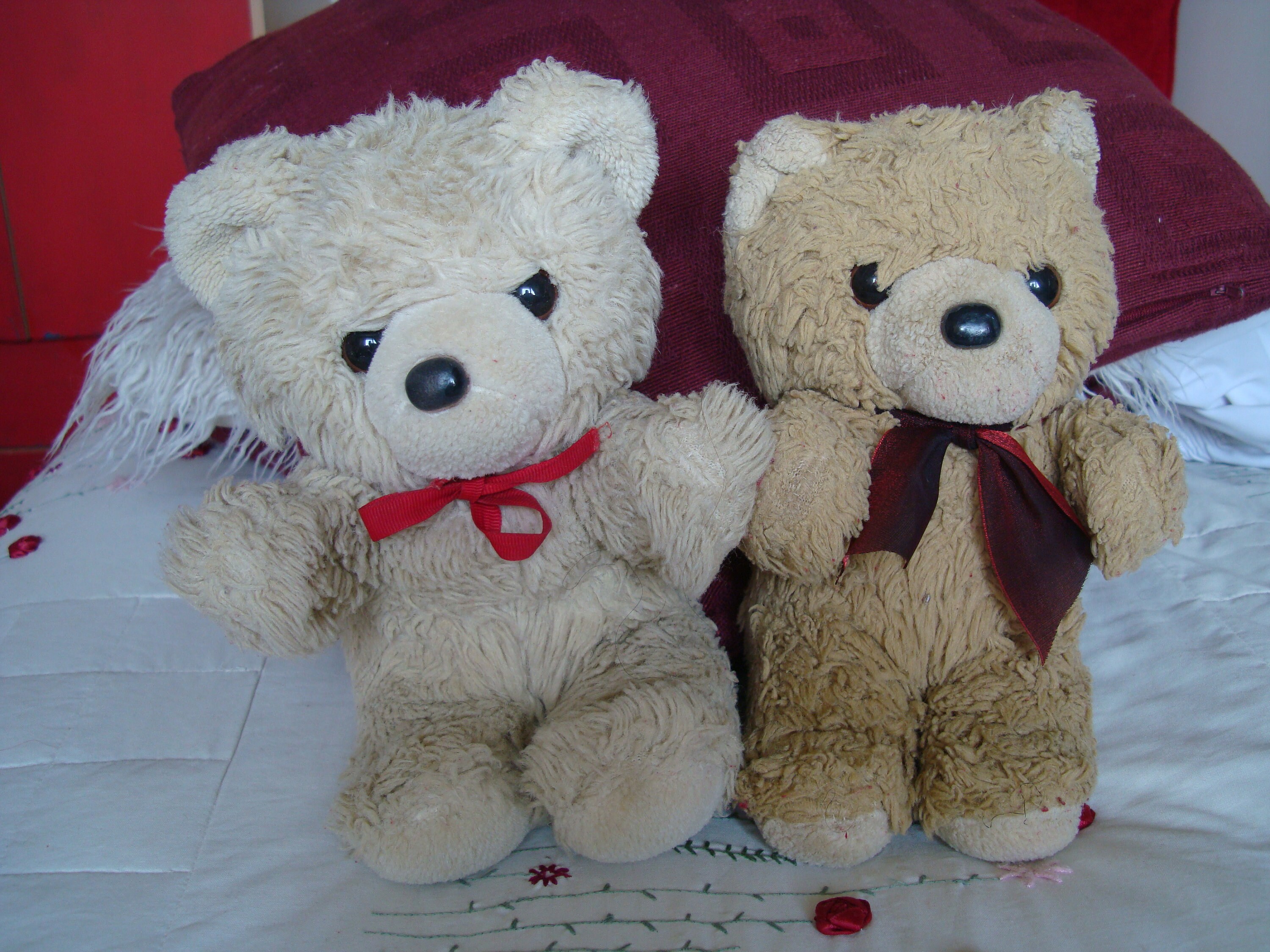 The Adventures of Fluff and Puff - Story 2 Fluff Finds Puff - Etsy