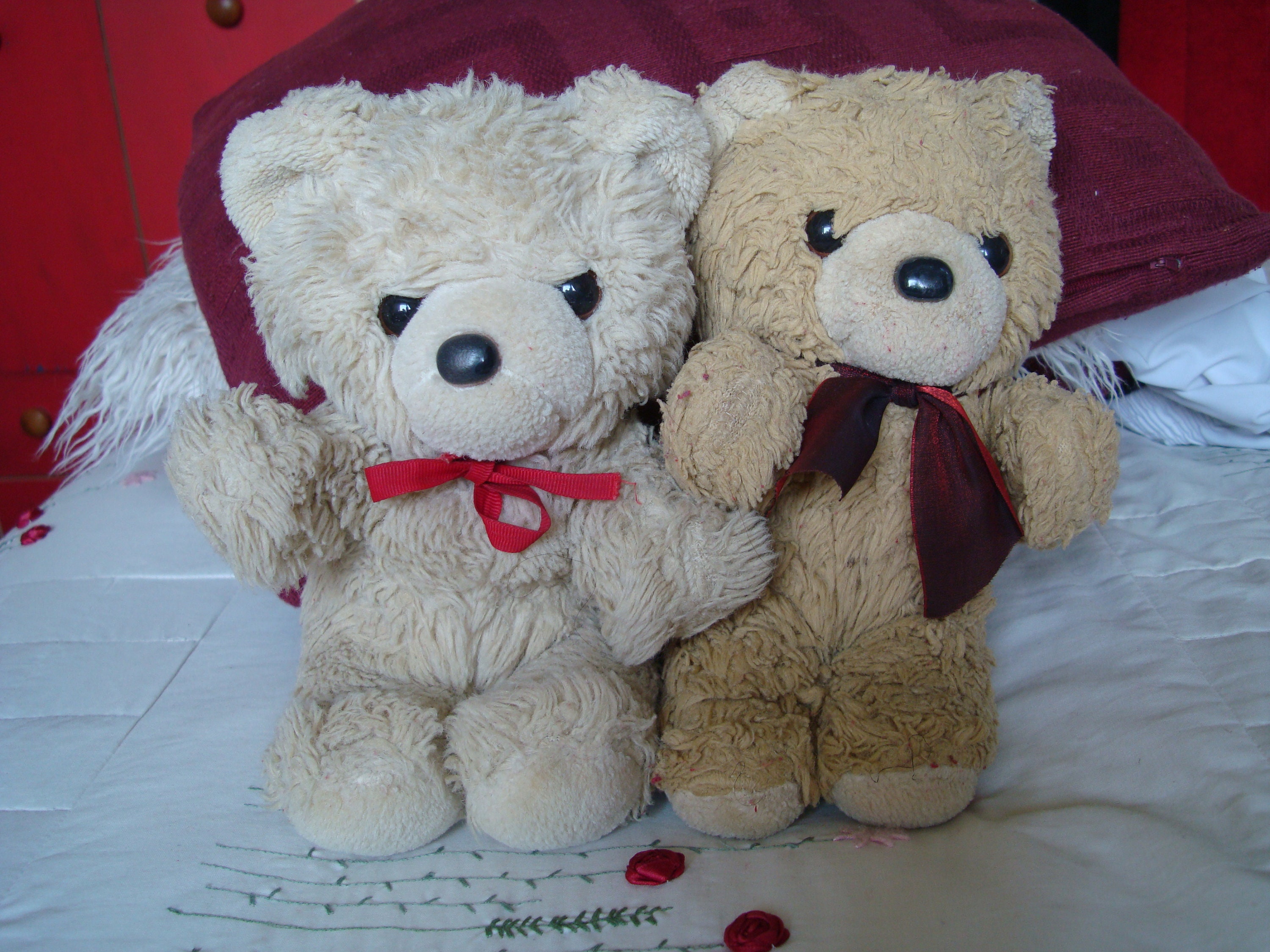 The Adventures of Fluff and Puff - Story 1 Fluff Finds a Home. - Etsy