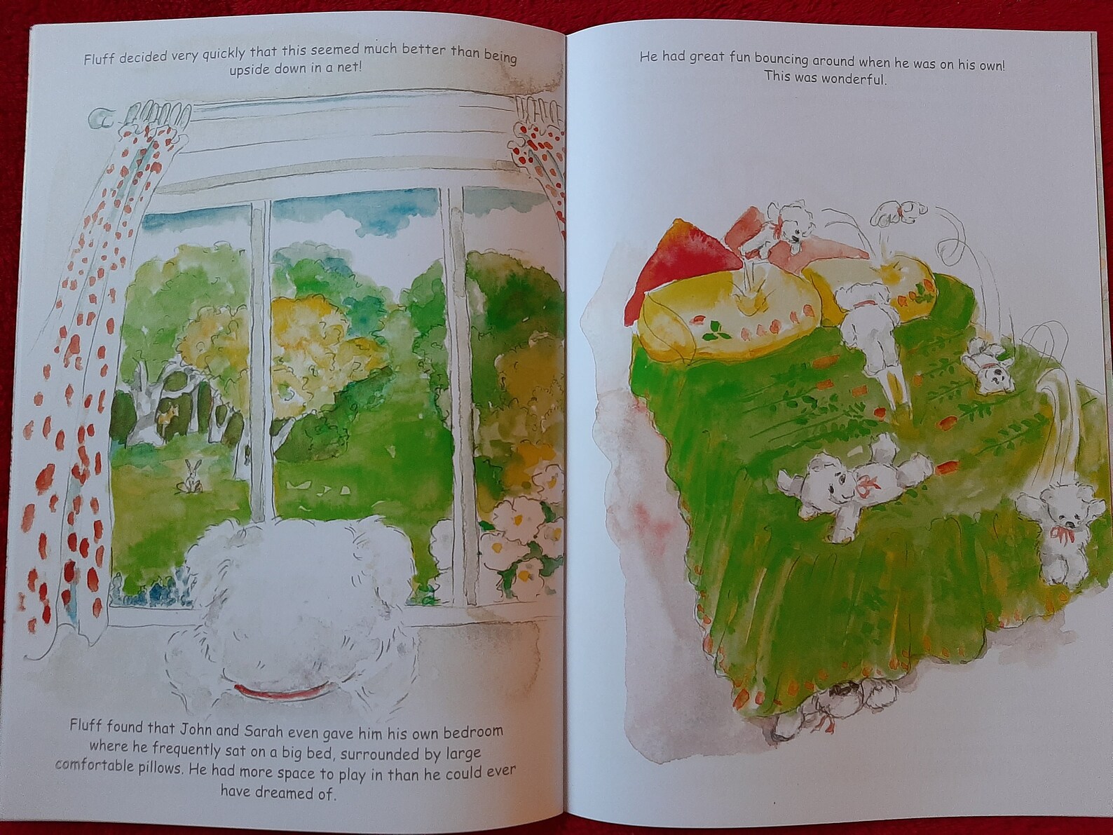 The Adventures of Fluff and Puff Story 1 Fluff Finds a Home. - Etsy