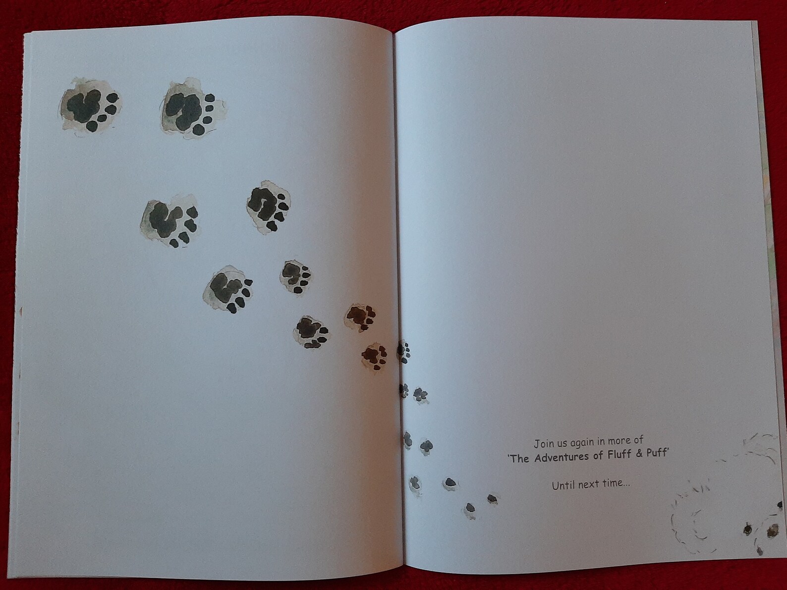 The Adventures of Fluff and Puff Story 1 Fluff Finds a Home. - Etsy