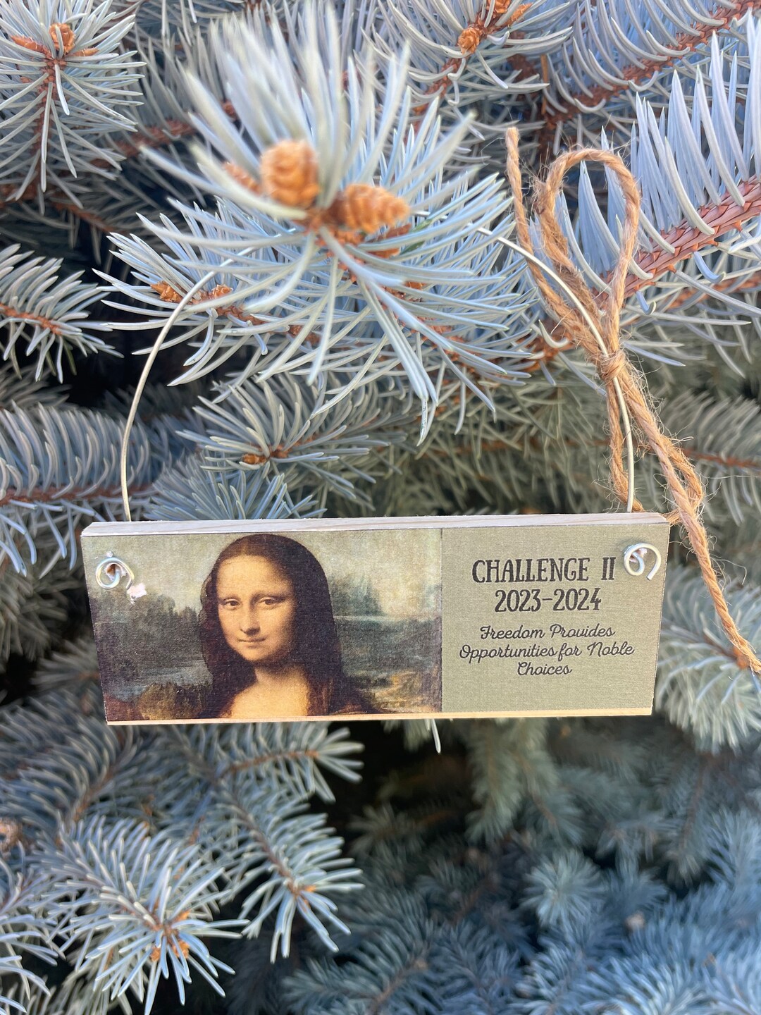 CC Challenge 2 Ornament - Etsy