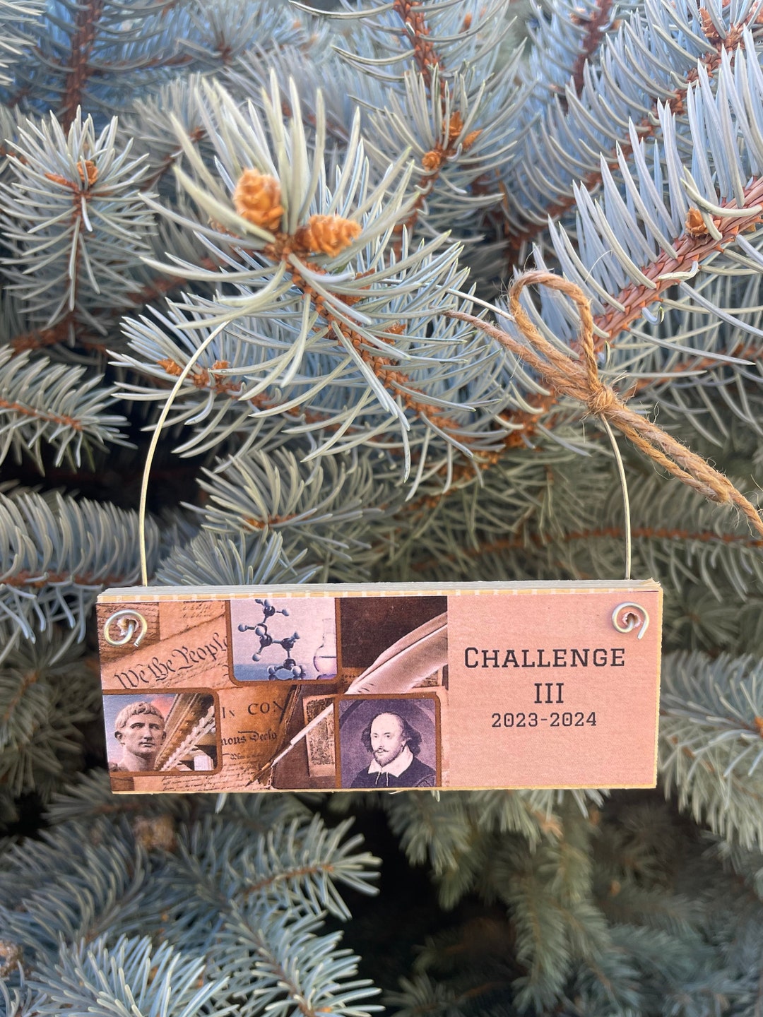 CC Challenge 3 Ornament - Etsy